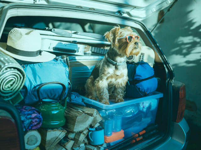 Como Organizar O Porta-malas E Otimizar Espaço